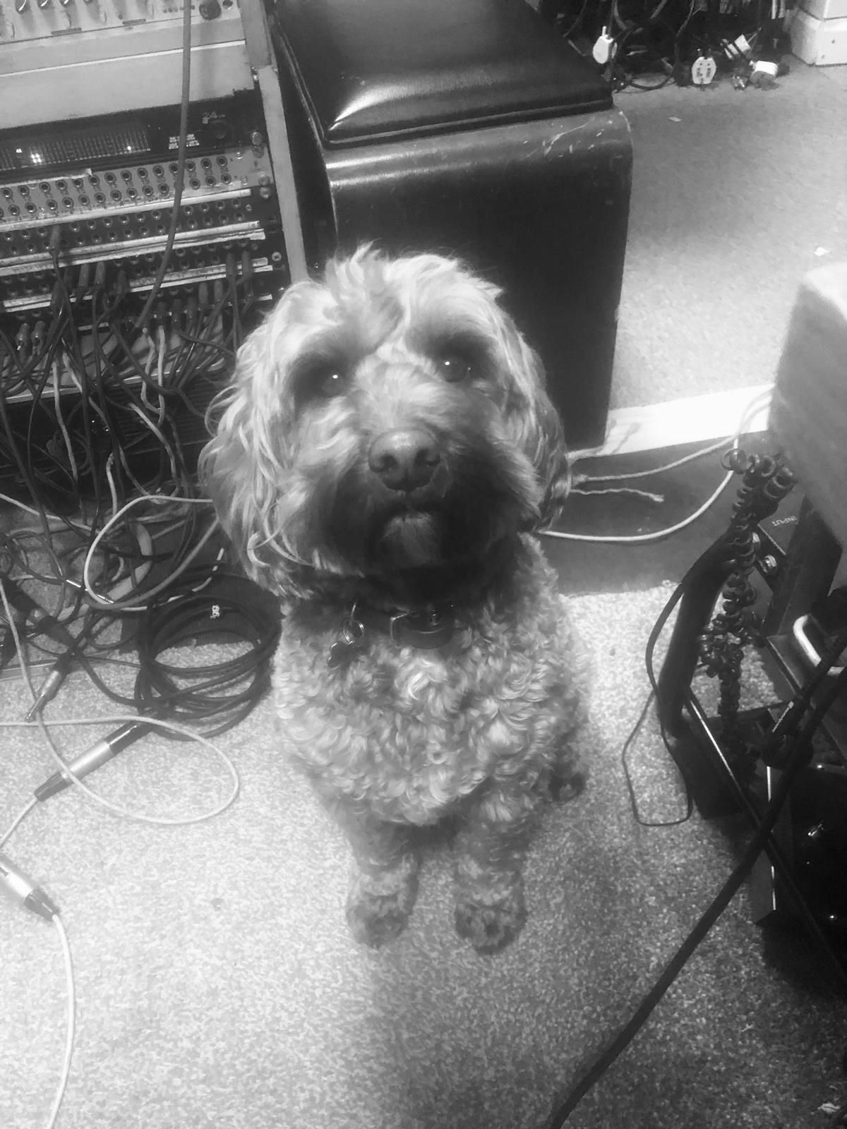 Home [www.sabrinapiggott.com]