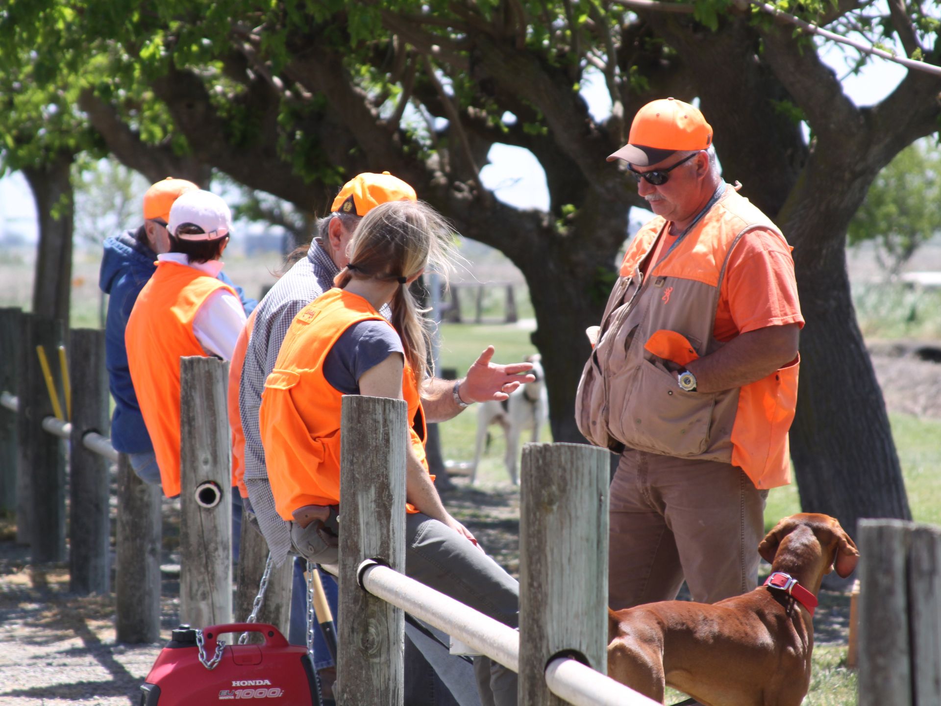 Photo Gallery | Vizsla Club of Northern California