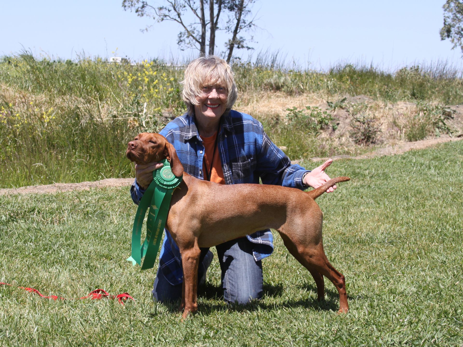 Photo Gallery | Vizsla Club of Northern California
