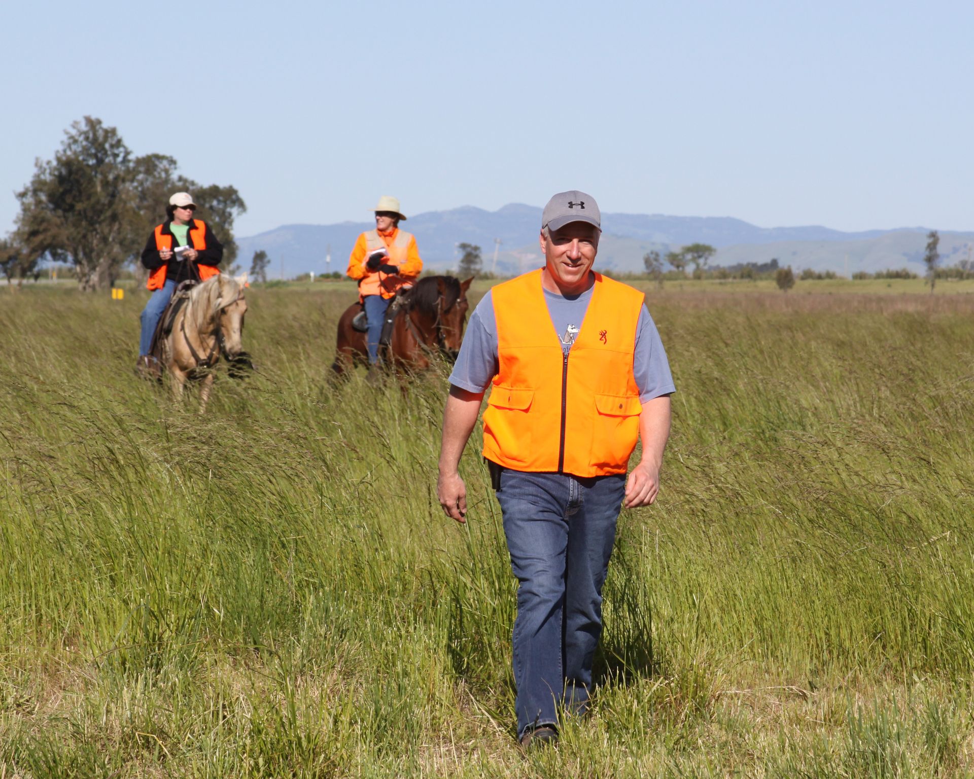 Photo Gallery | Vizsla Club of Northern California