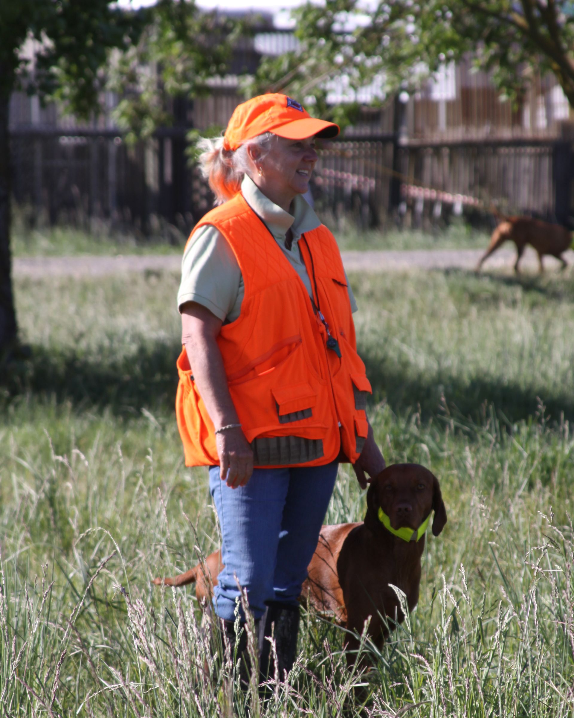 Photo Gallery | Vizsla Club of Northern California
