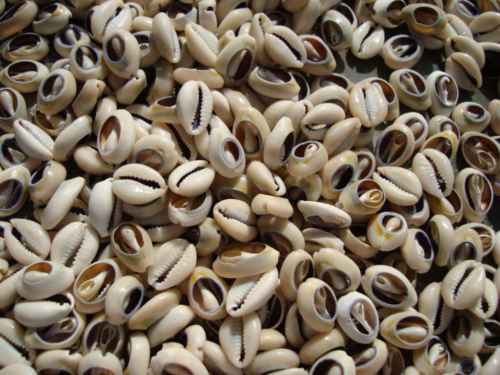 Etnopsichiatria | Centro Studi Sagara | Usigliano di Lari (PI)