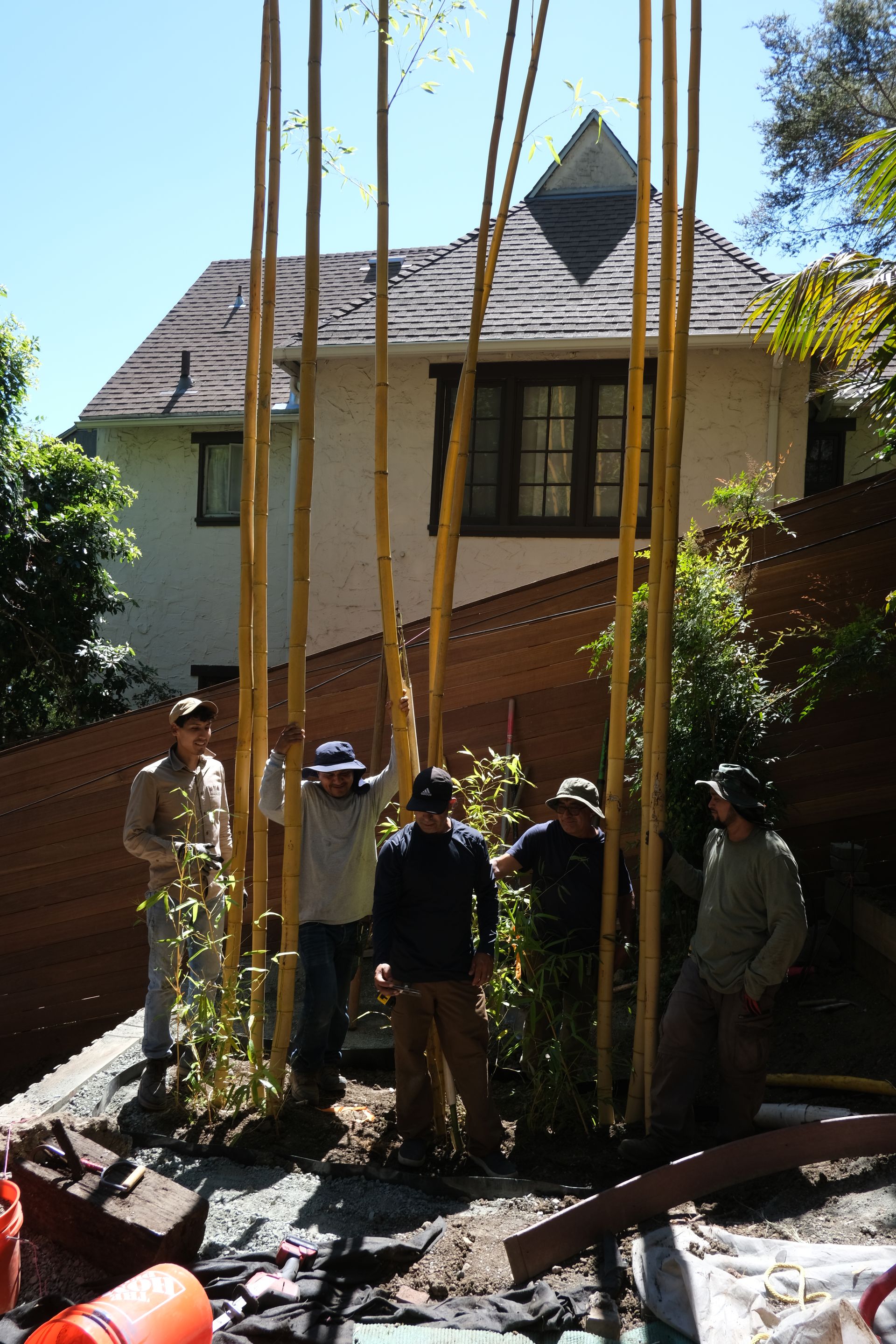 Bamboo Installation | Concord, CA | J & M Landscape