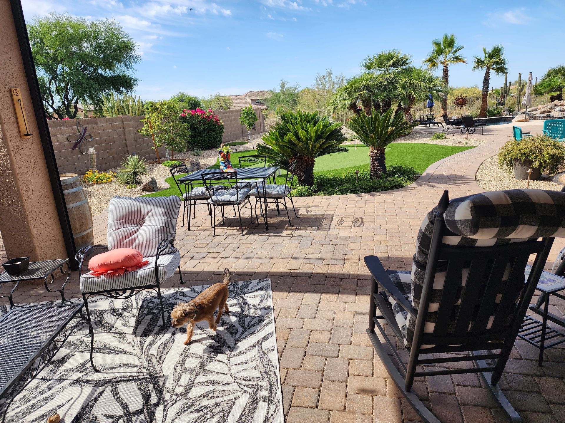 The Best Plants And Trees For A Low-Maintenance Yard In Mesa Az
