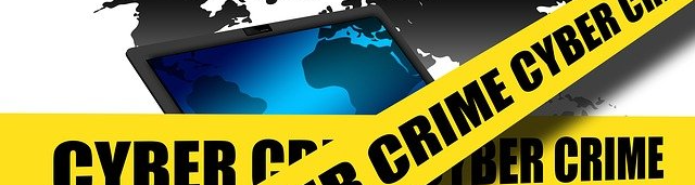 What are the Most Common Types of Cybercrime