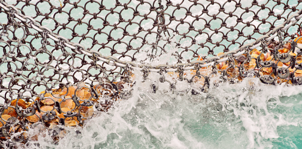 Harvesting Methods | Sea To Shore Seafood Co.