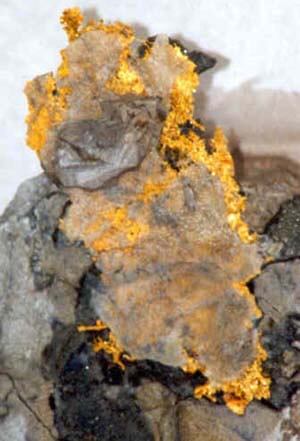 Valuation of Mineral Exploration Properties