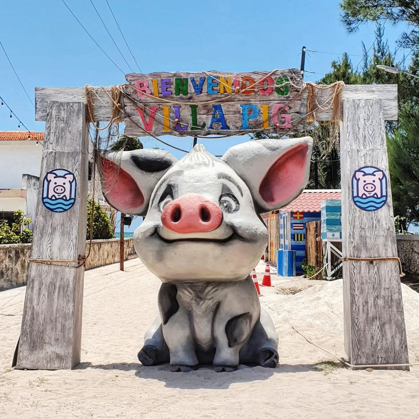 Tour Corchito, Pig beach, Isla columpios y Progreso | Discover Tours ...