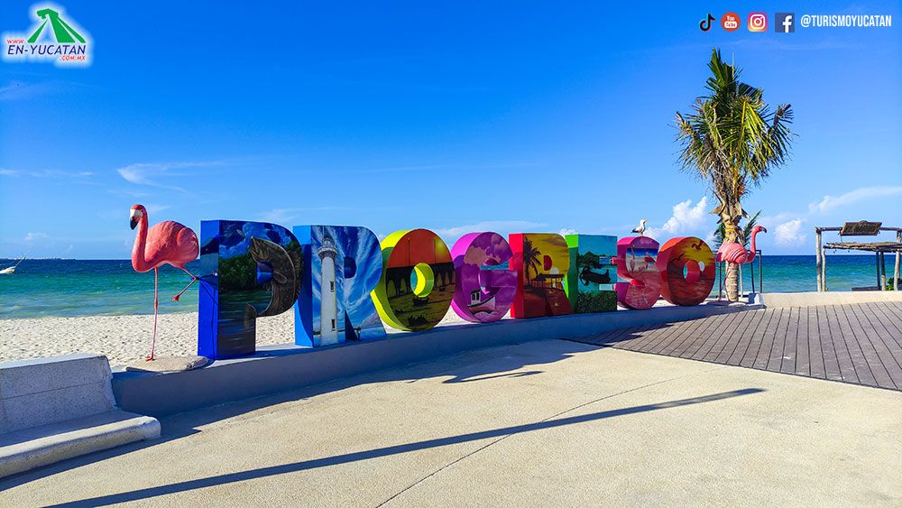 Tour Corchito, Pig beach, Isla columpios y Progreso | Discover Tours ...