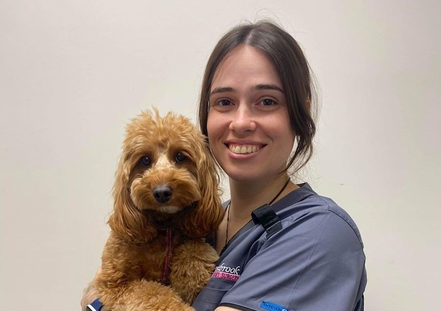 About Westbrook Vets