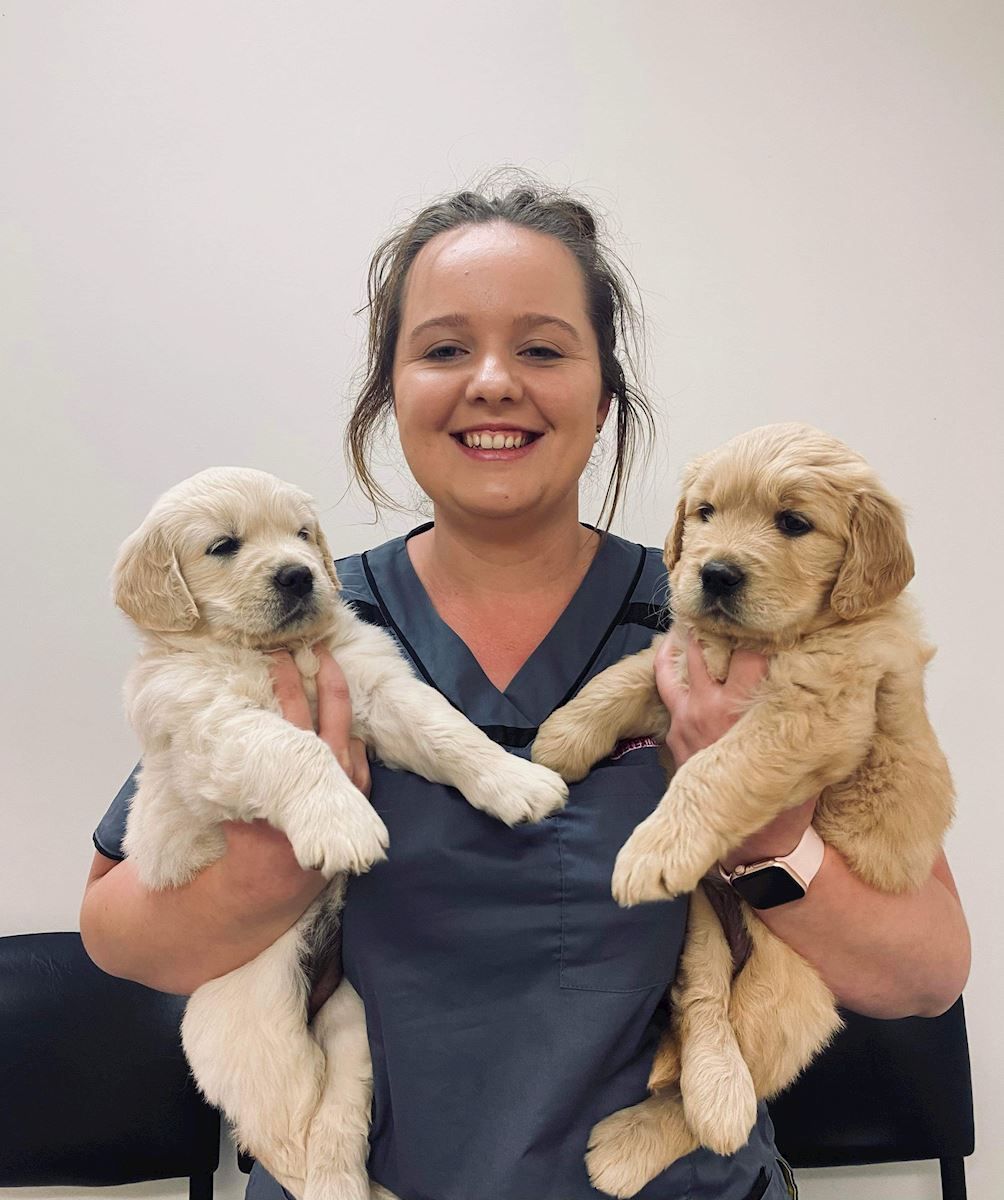 About Westbrook Vets