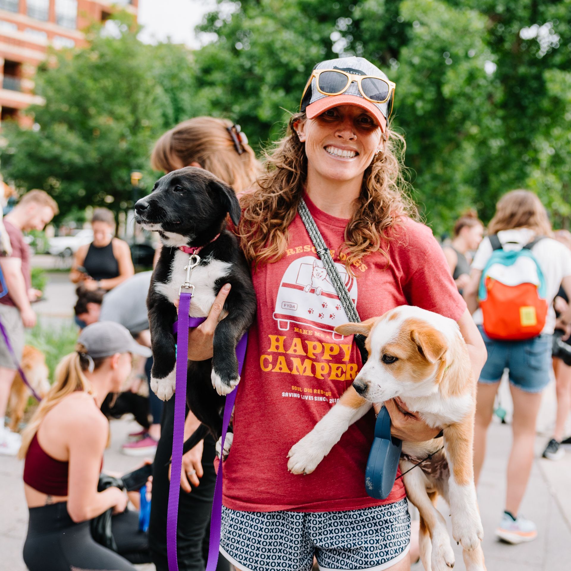 Soul Dog Rescue