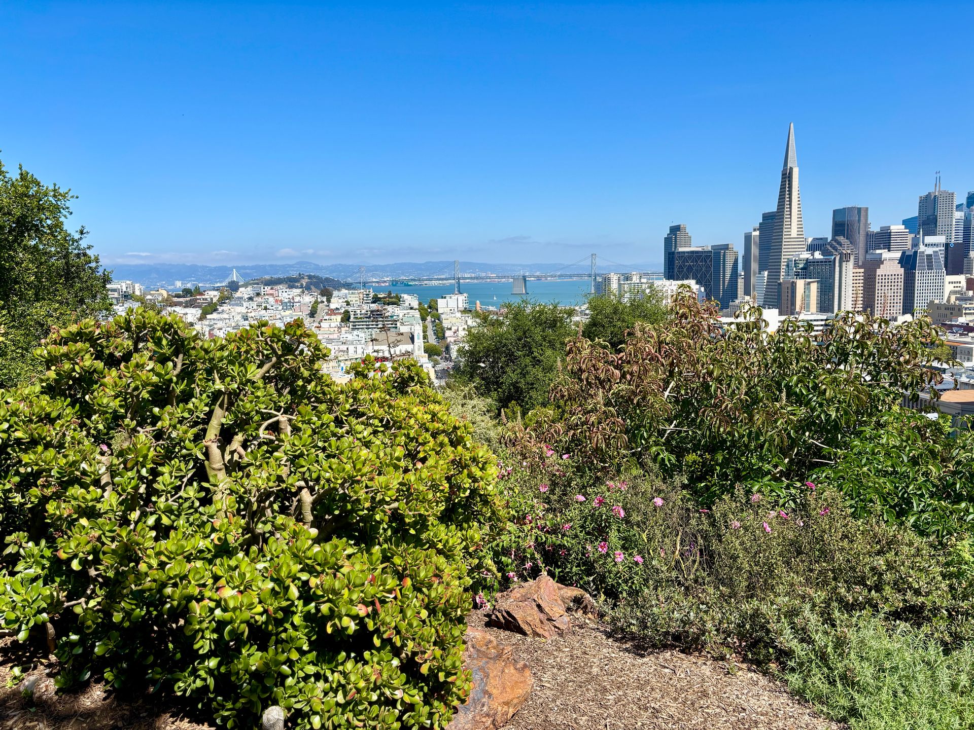 Explore Russian Hill