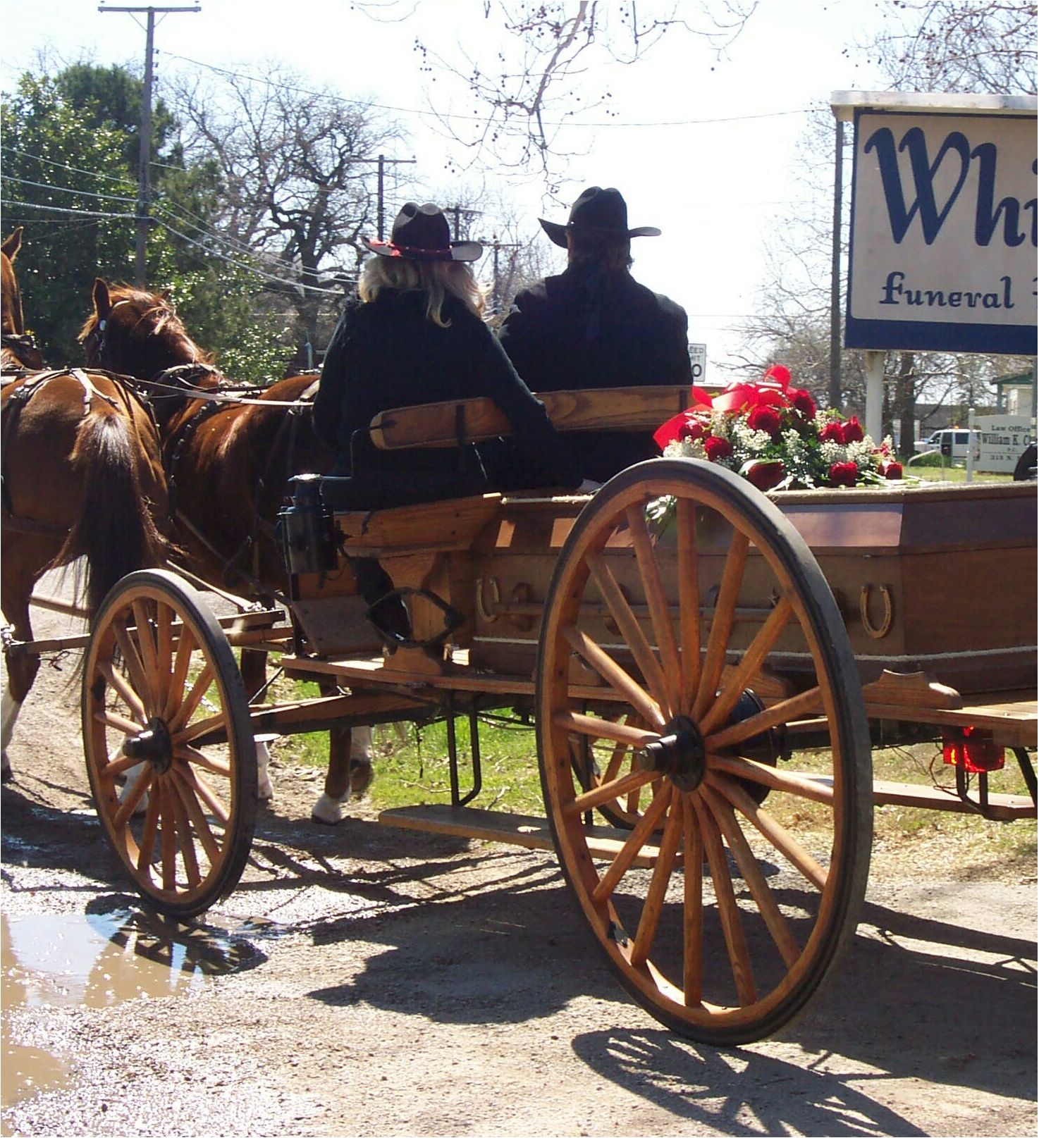 Horse-Drawn Carriage | Benbrook, TX | 817-249-2490