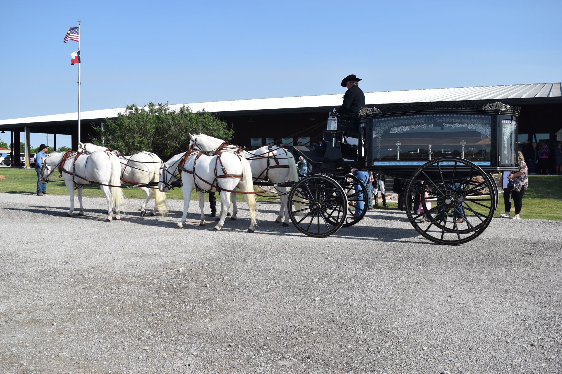 Horse-Drawn Carriage | Benbrook, TX | 817-249-2490