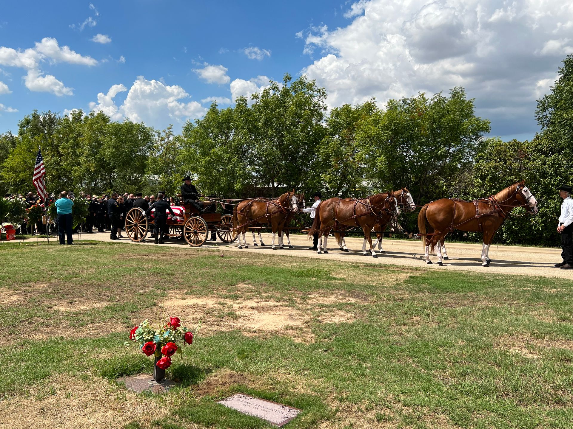 Horse-Drawn Carriage | Benbrook, TX | 817-249-2490