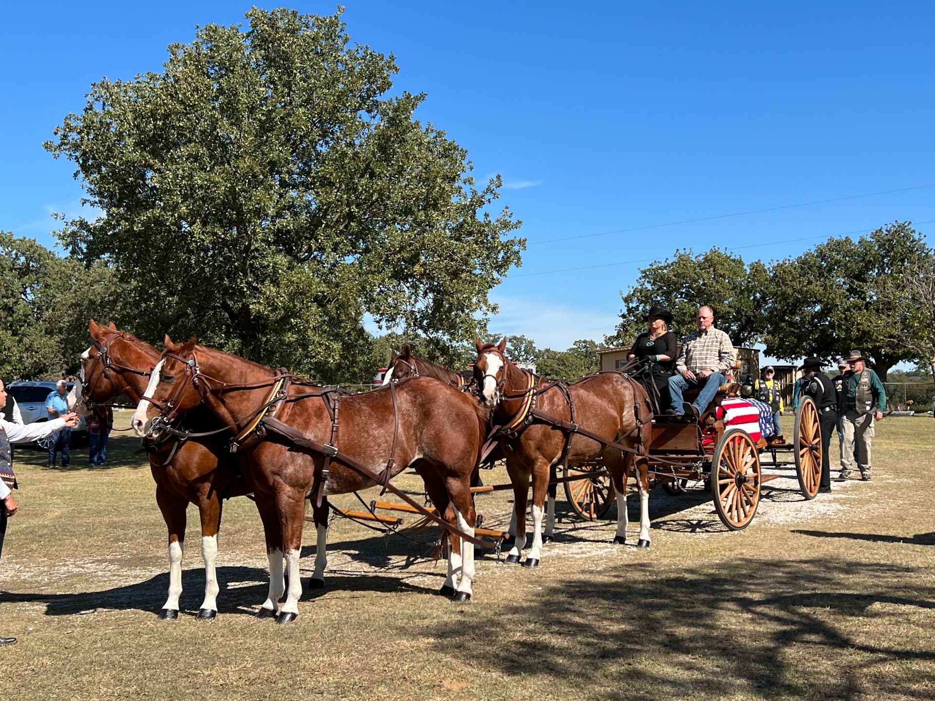 Horse-Drawn Carriage | Benbrook, TX | 817-249-2490