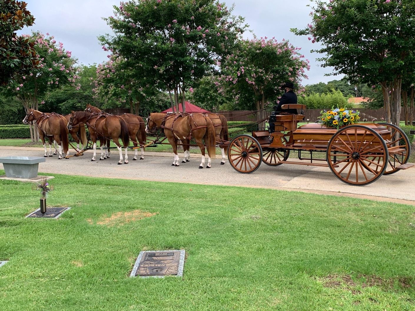 Horse-Drawn Carriage | Benbrook, TX | 817-249-2490