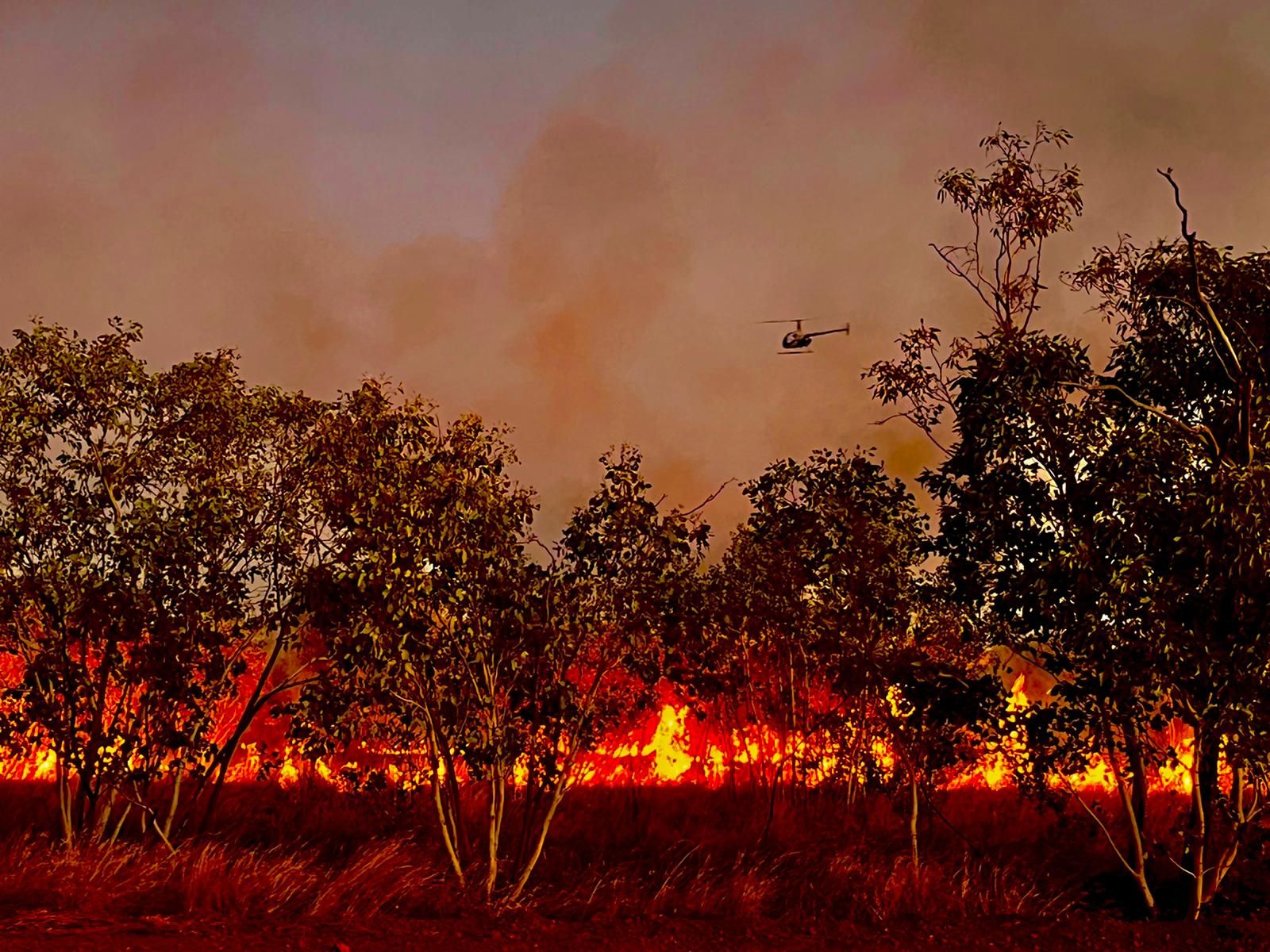 Gallery | Heli-Muster