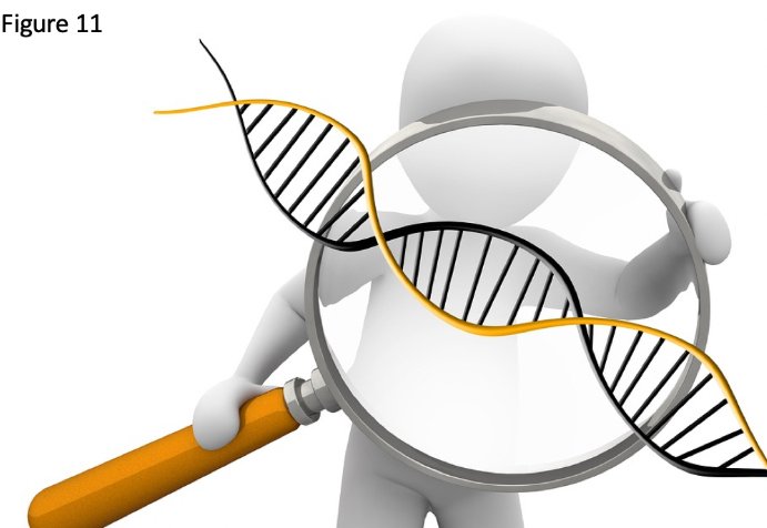 Diagnosis & Management ∙ ACTA2 Alliance ∙ Foundation for Multisystemic ...