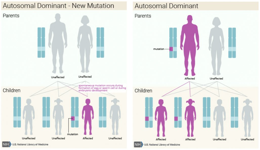 Diagnosis & Management ∙ ACTA2 Alliance ∙ Foundation for Multisystemic Smooth Muscle Dysfunction ...