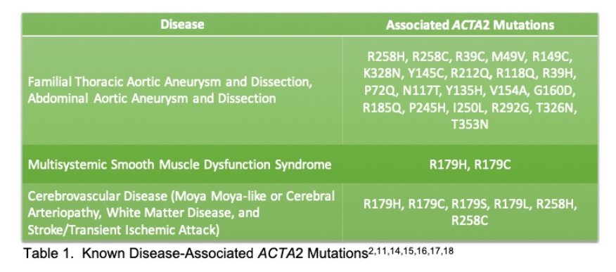 Intro to ACTA2 Gene Mutations ∙ ACTA2 Alliance ∙ Foundation for Multisystemic Smooth Muscle ...