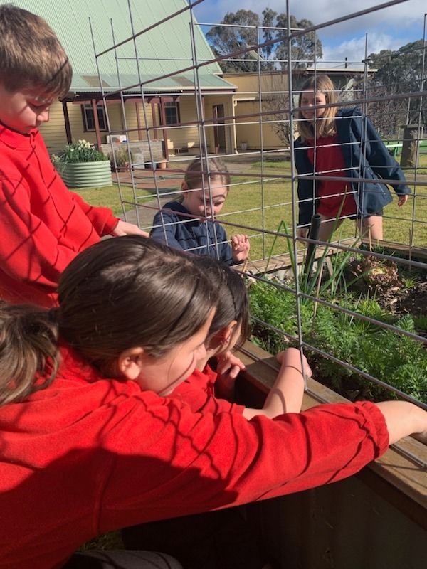 Kitchen and Garden Activity