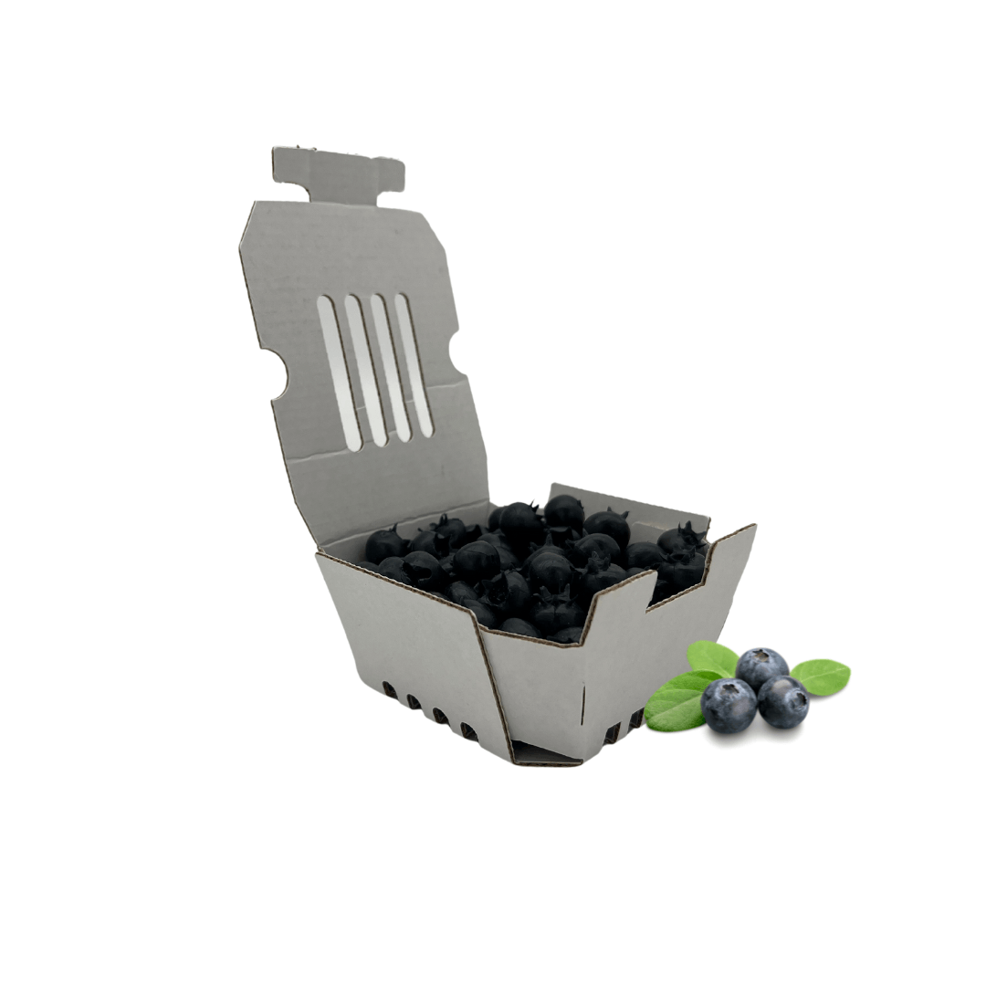 Packaging in Development