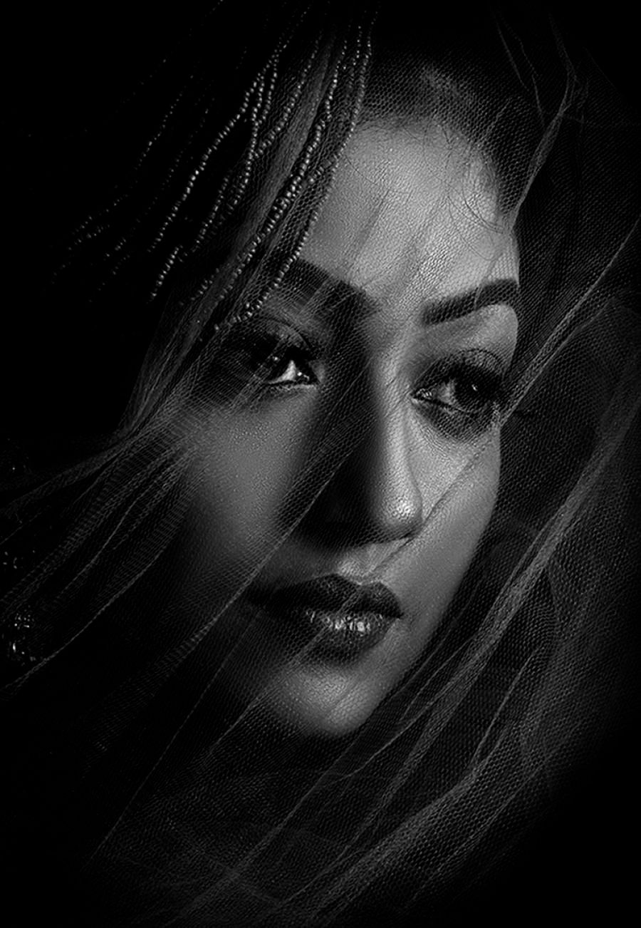 CAPA Digital Salon 2024 - Open Monochrome Winners