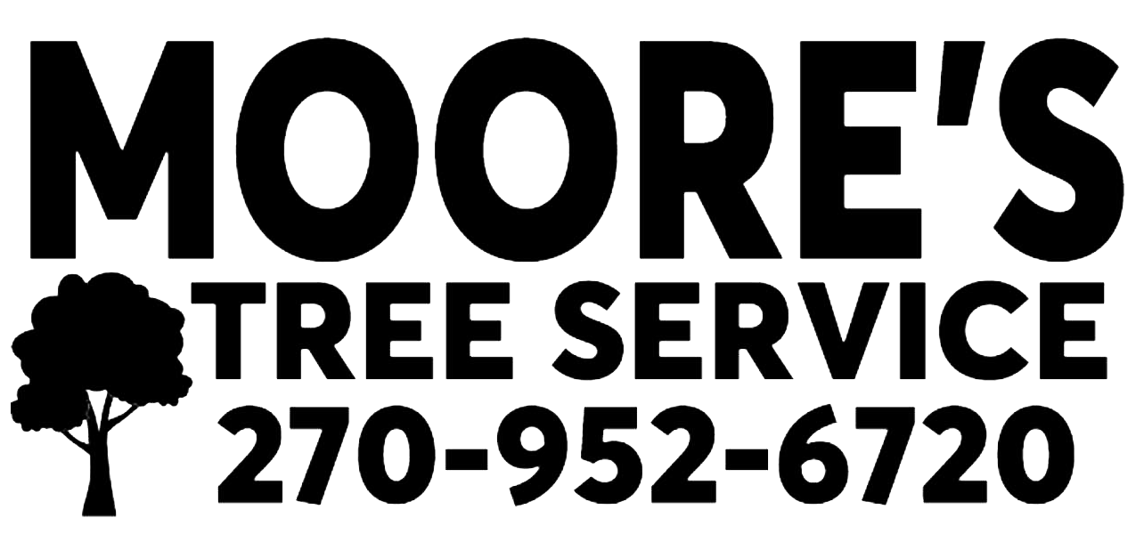 Tree Company, Local Tree Contractor | Waverly, Morganfield, KY | Moore ...