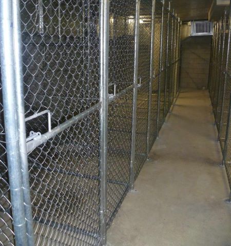 Chain Wire Gates | Sureline Fencing