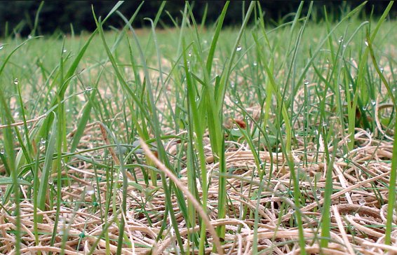 Curlex Erosion Control Fabric in Hanover, PA | Hanover Concrete, Co.