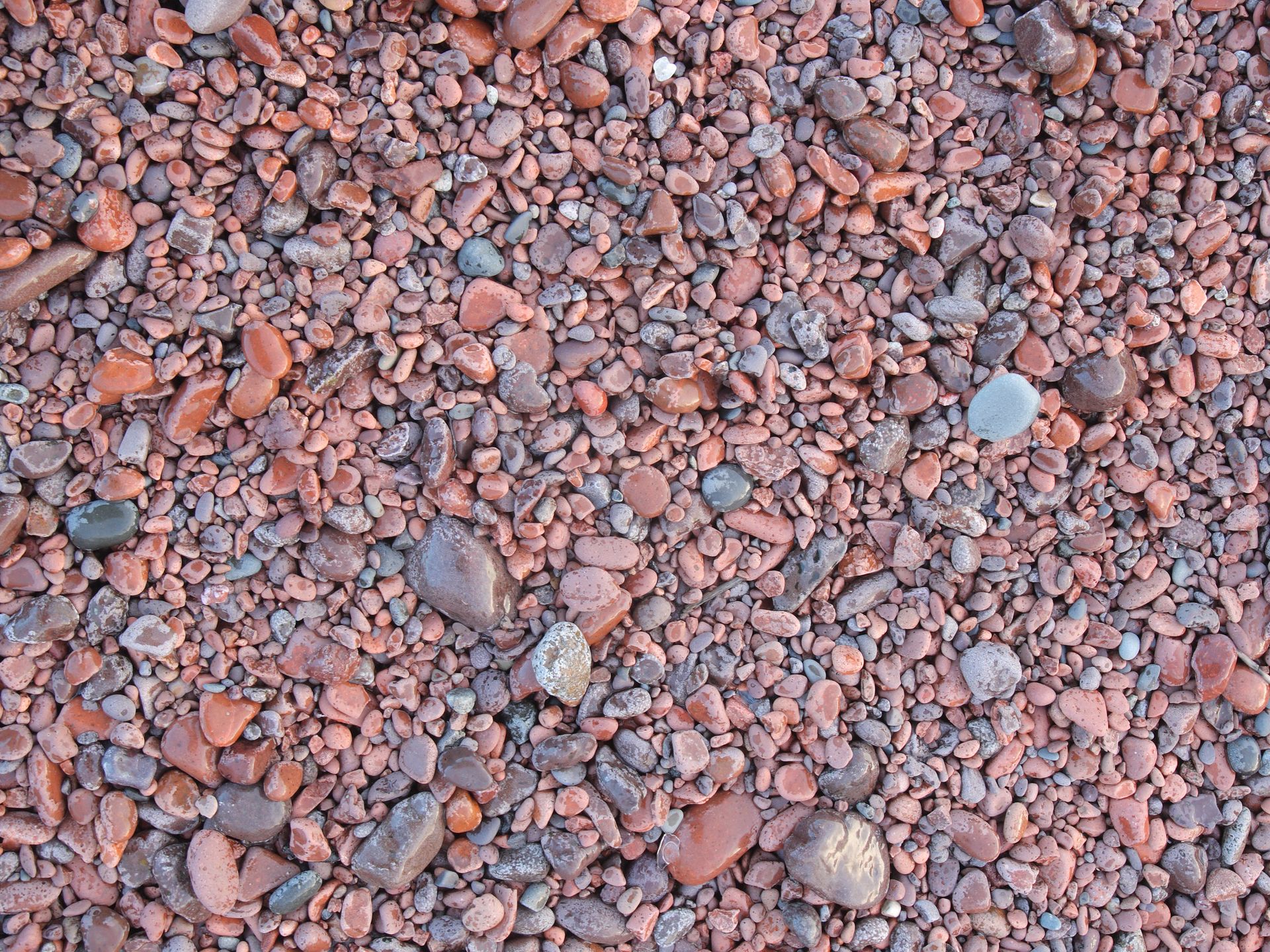 Hunting for Agates in Minnesota: A Rockhound’s Guide