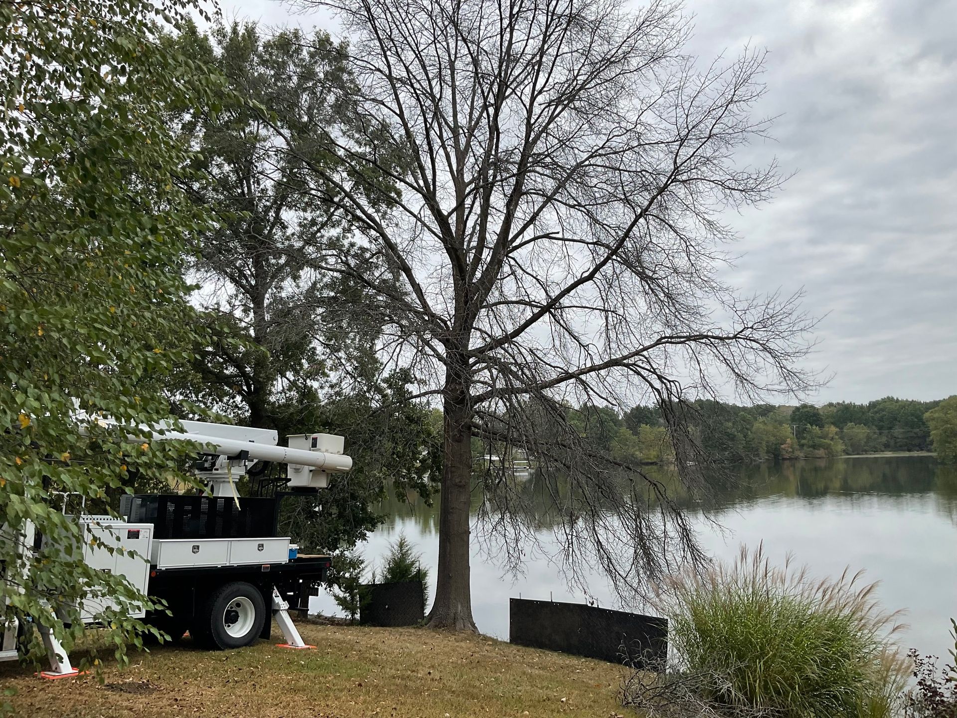 Tree Care Specialists | Chillicothe, MO | 660-359-3699