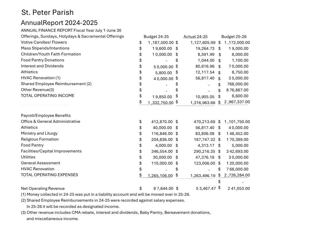 St. Peter Financial Reports