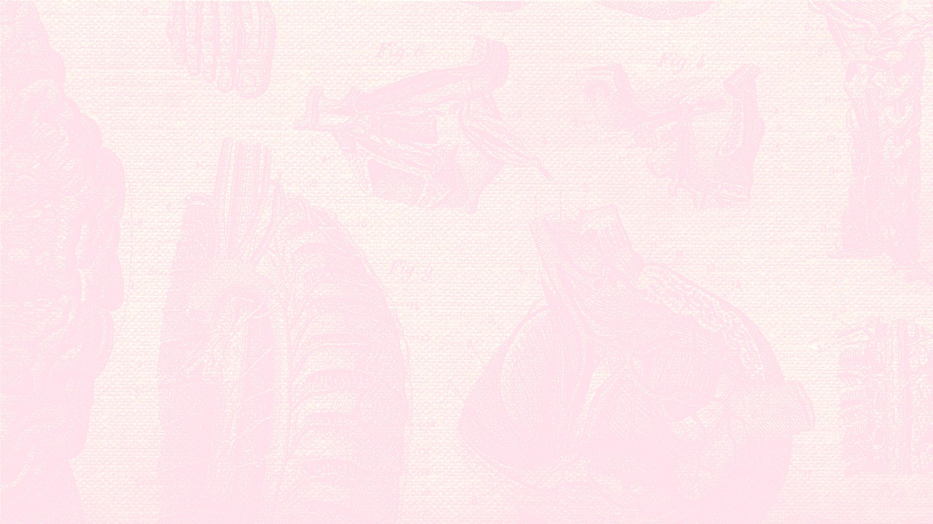 Dr Elizabeth Comen | All In Her Head