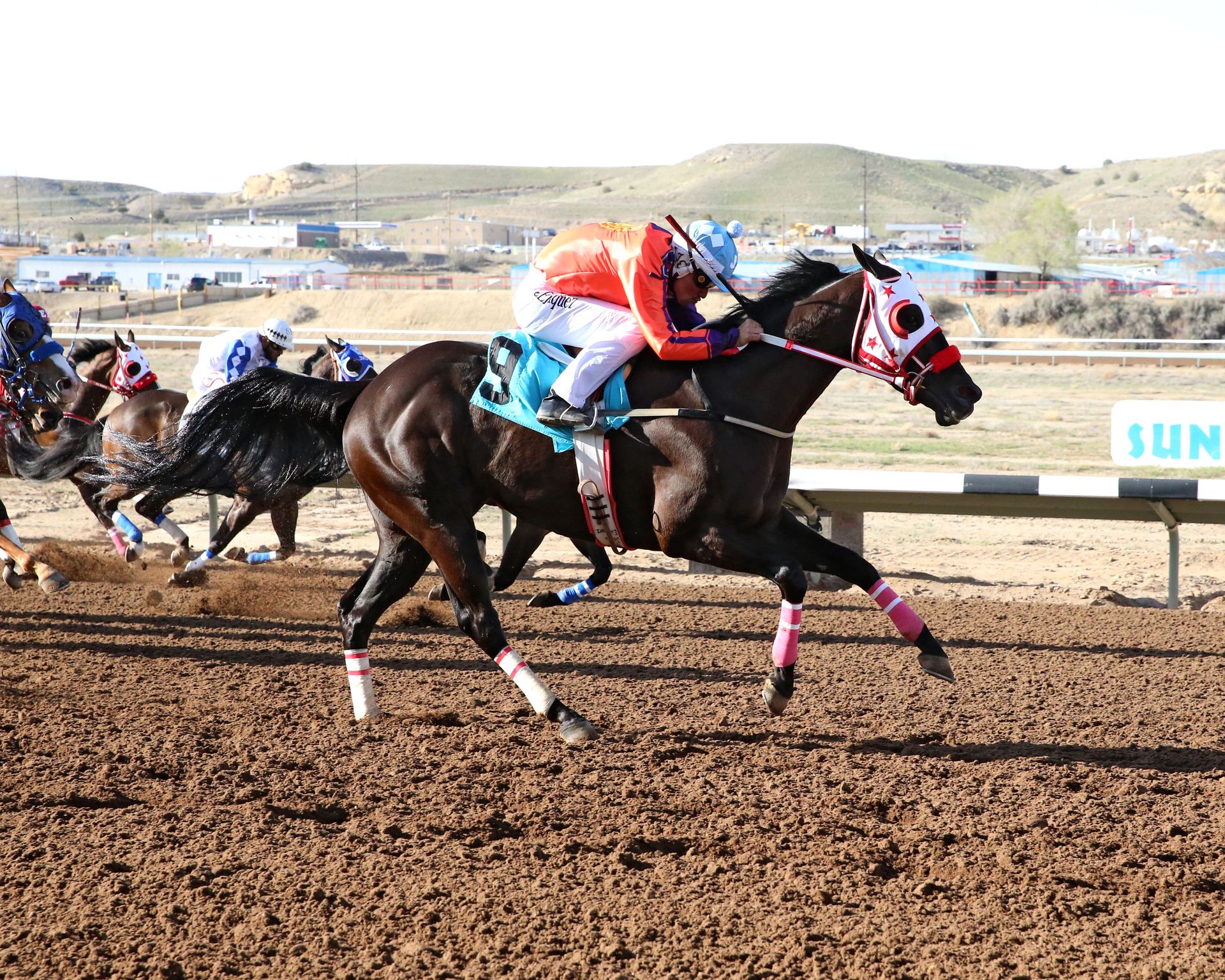 Thoroughbred & Quarter Horse Racing | Come Race With Us