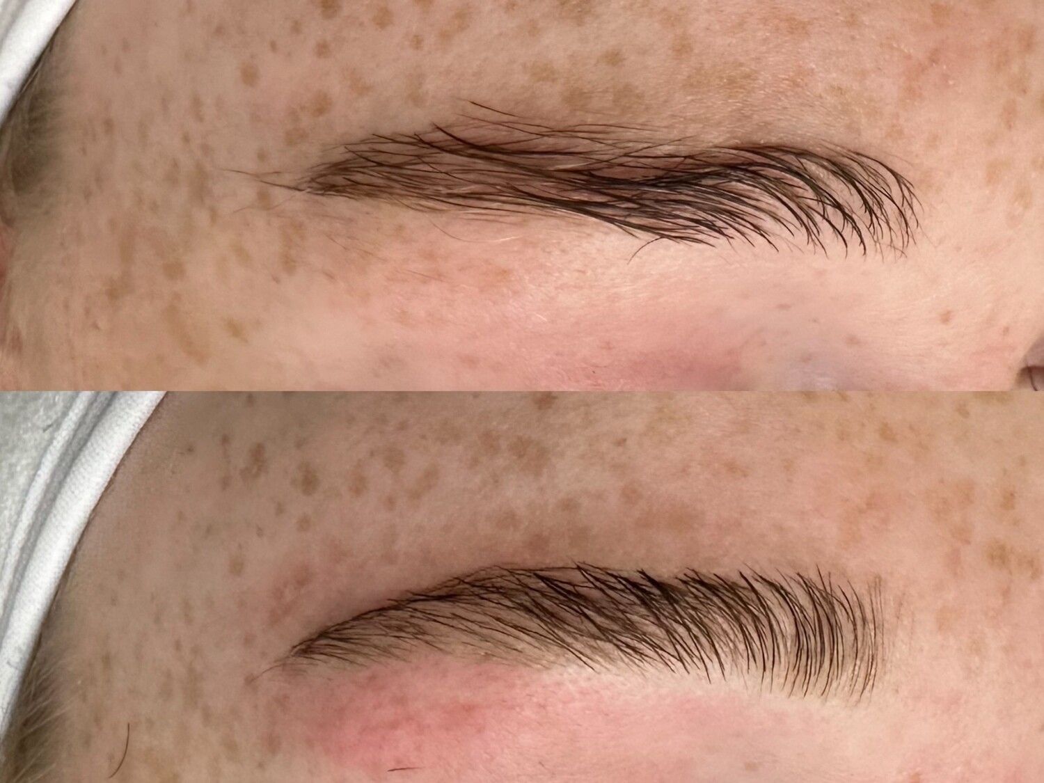 Brows & Lashes | Modern Dermatology of KY and Cosmetic Specialists
