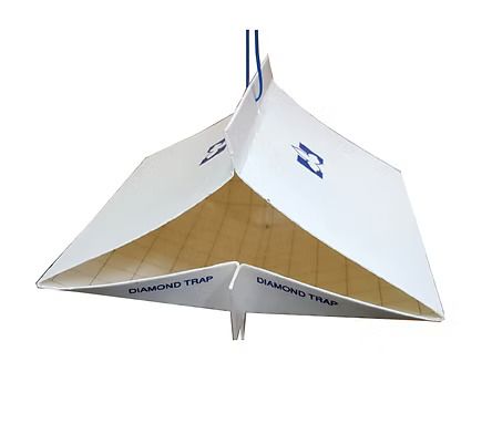 Paper Delta Trap | Central California | 559-281-1322