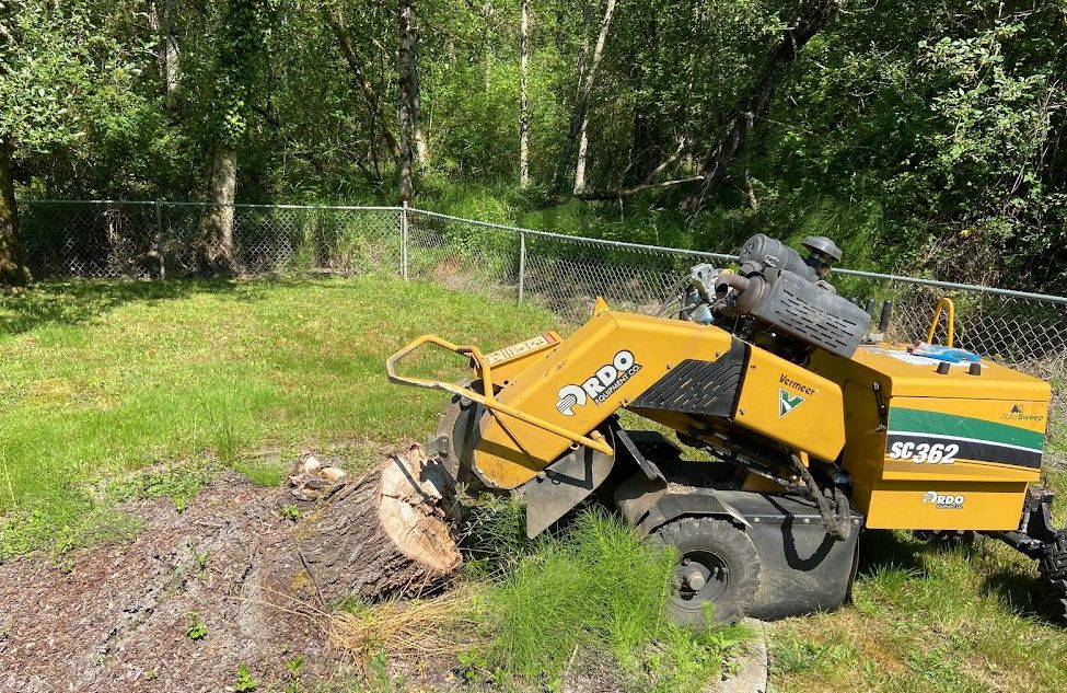 New Life Tree Service LLC | Tree Service | Washington