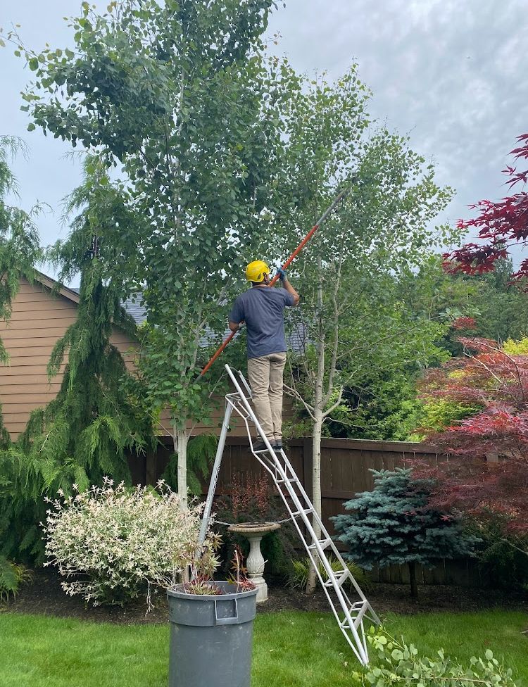 New Life Tree Service LLC | Tree Service | Washington