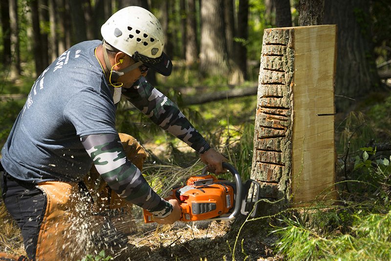 ArborMaster Photo GalleryTree Climbing & Work Positioning Photo Gallery