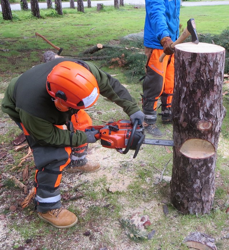 ArborMaster Photo GalleryTree Climbing & Work Positioning Photo Gallery