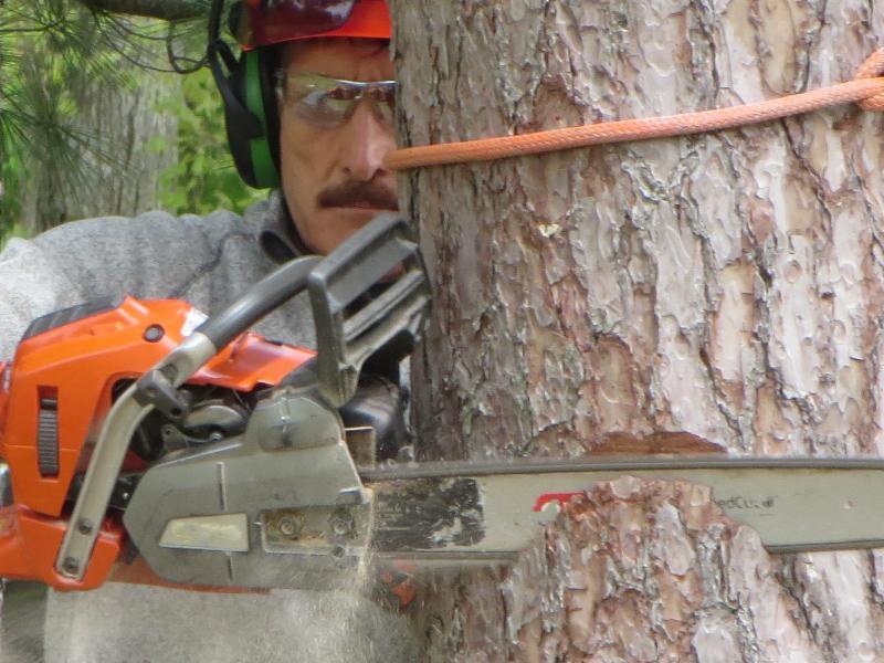 ArborMaster Open Enrollment Training Schedule , Locations & Where To Stay