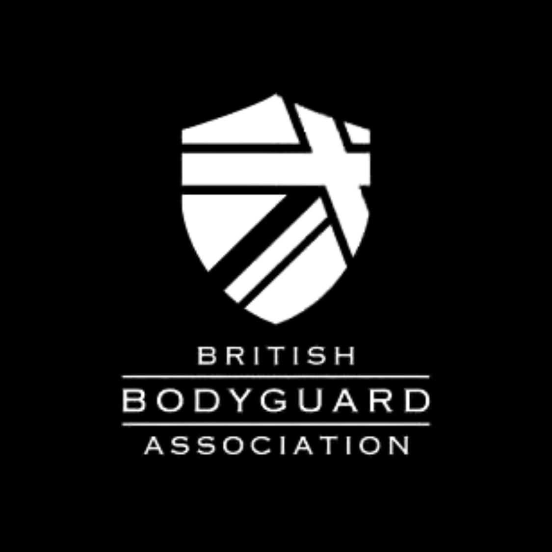 LEVEL 3 CLOSE PROTECTION OPERATIVE