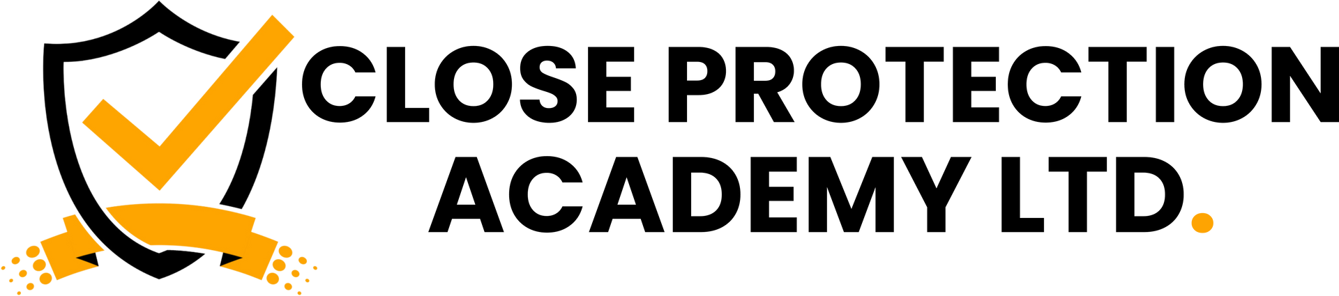 LEVEL 3 CLOSE PROTECTION OPERATIVE