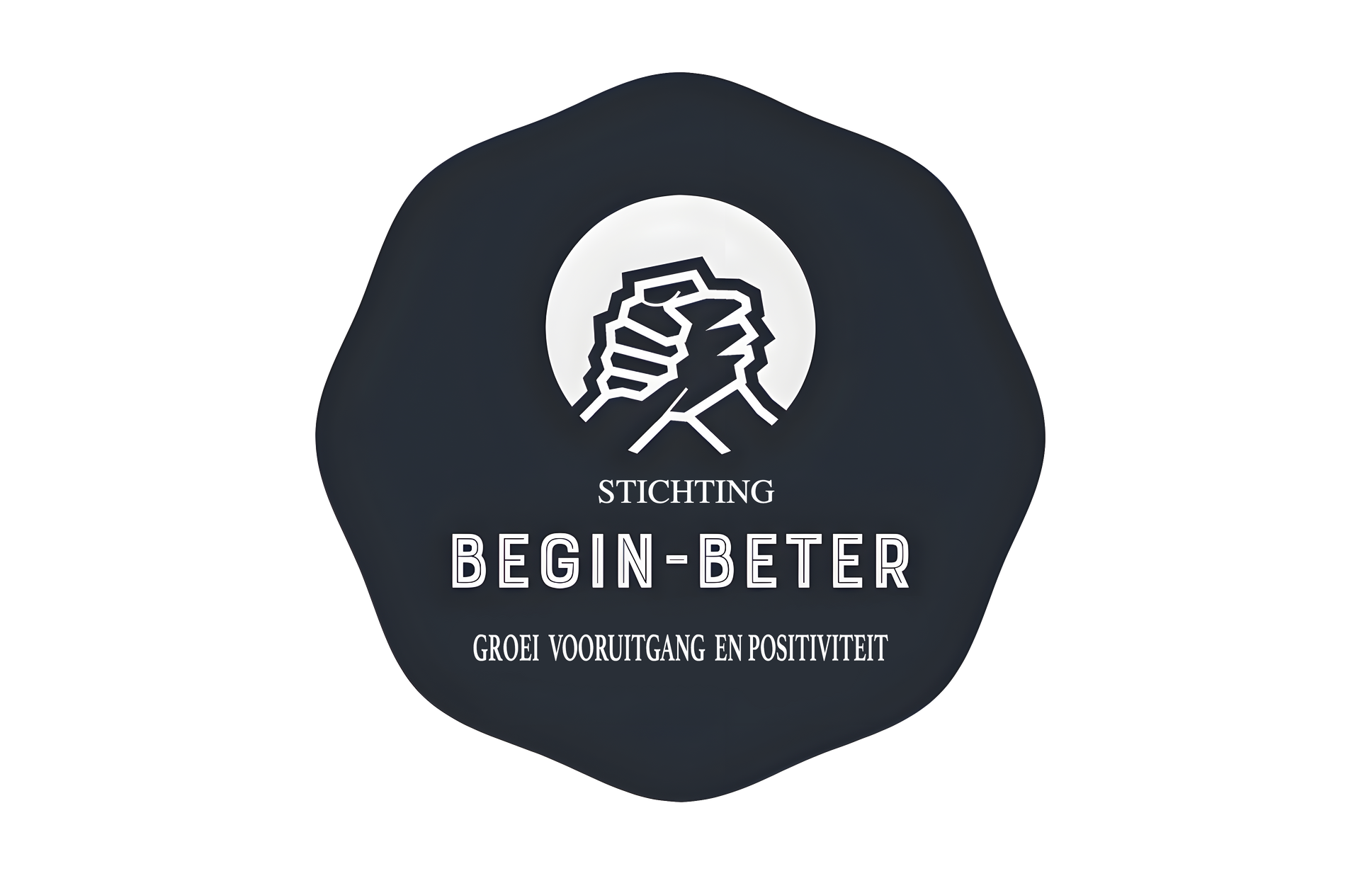 Stichting Begin Beter: Samen naar een betere toekomst voor ...