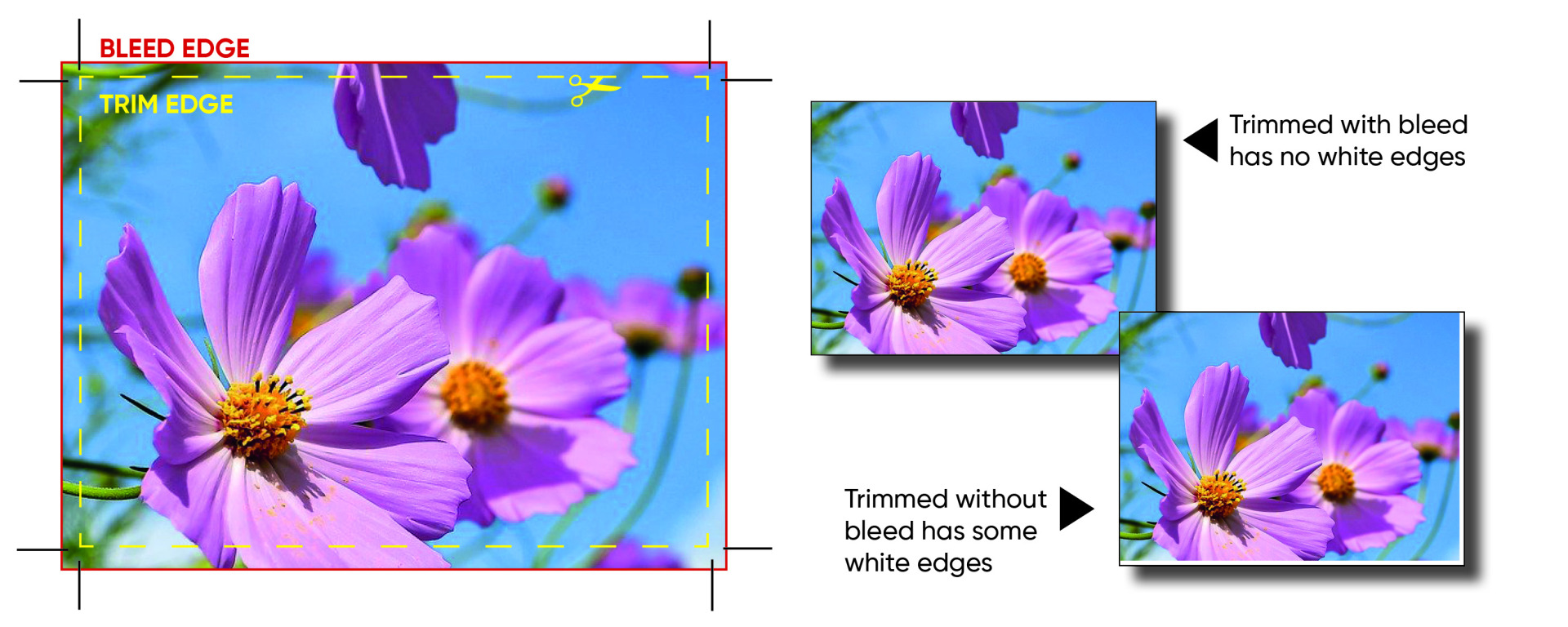 What is bleed in printing? Find out what it means here