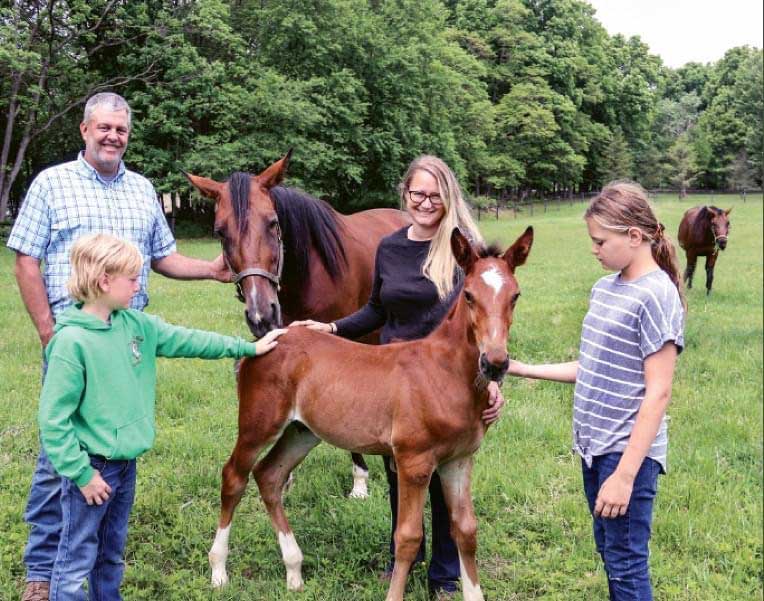 Stonegate Farm Gallery