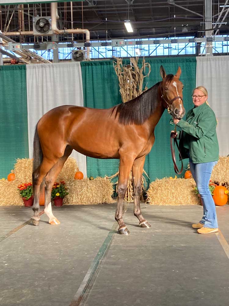 Stonegate Farm Gallery